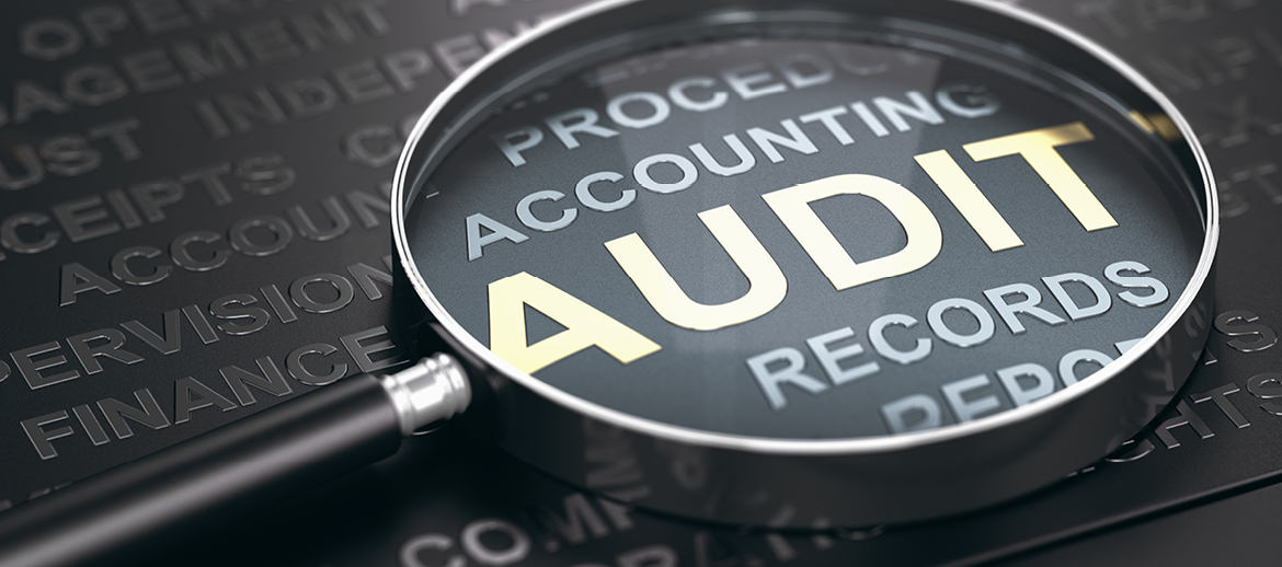An Added Value Audit