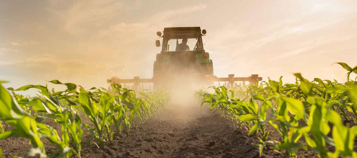 How does the Autumn Budget affect my farming business?