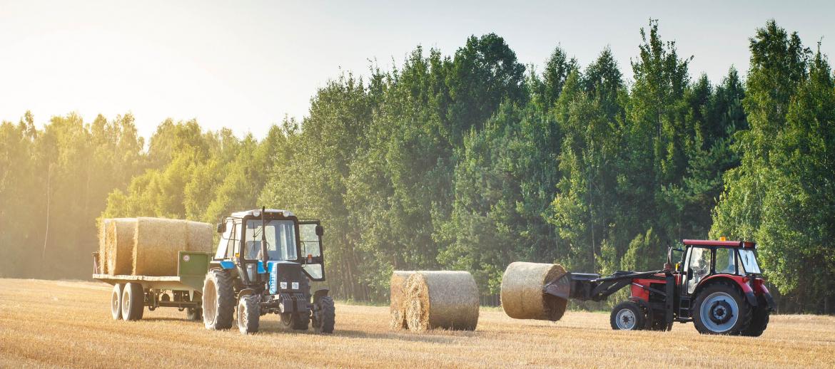 7 top tips for farm businesses