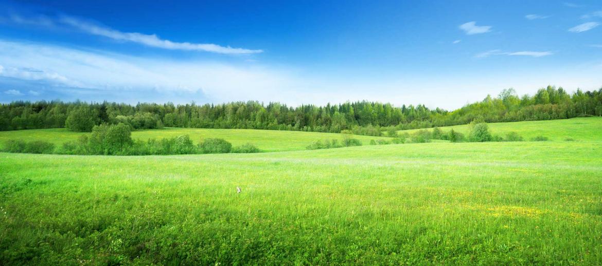 Gifting development land – how should I do it?