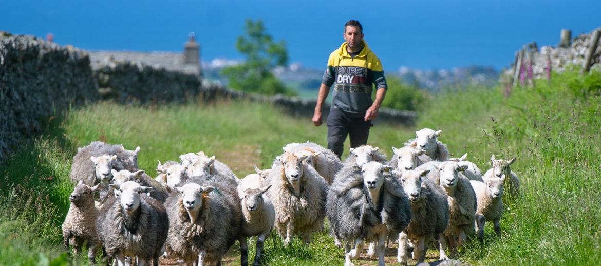 Farming family's passion and dedication to producing premium Lakeland ...